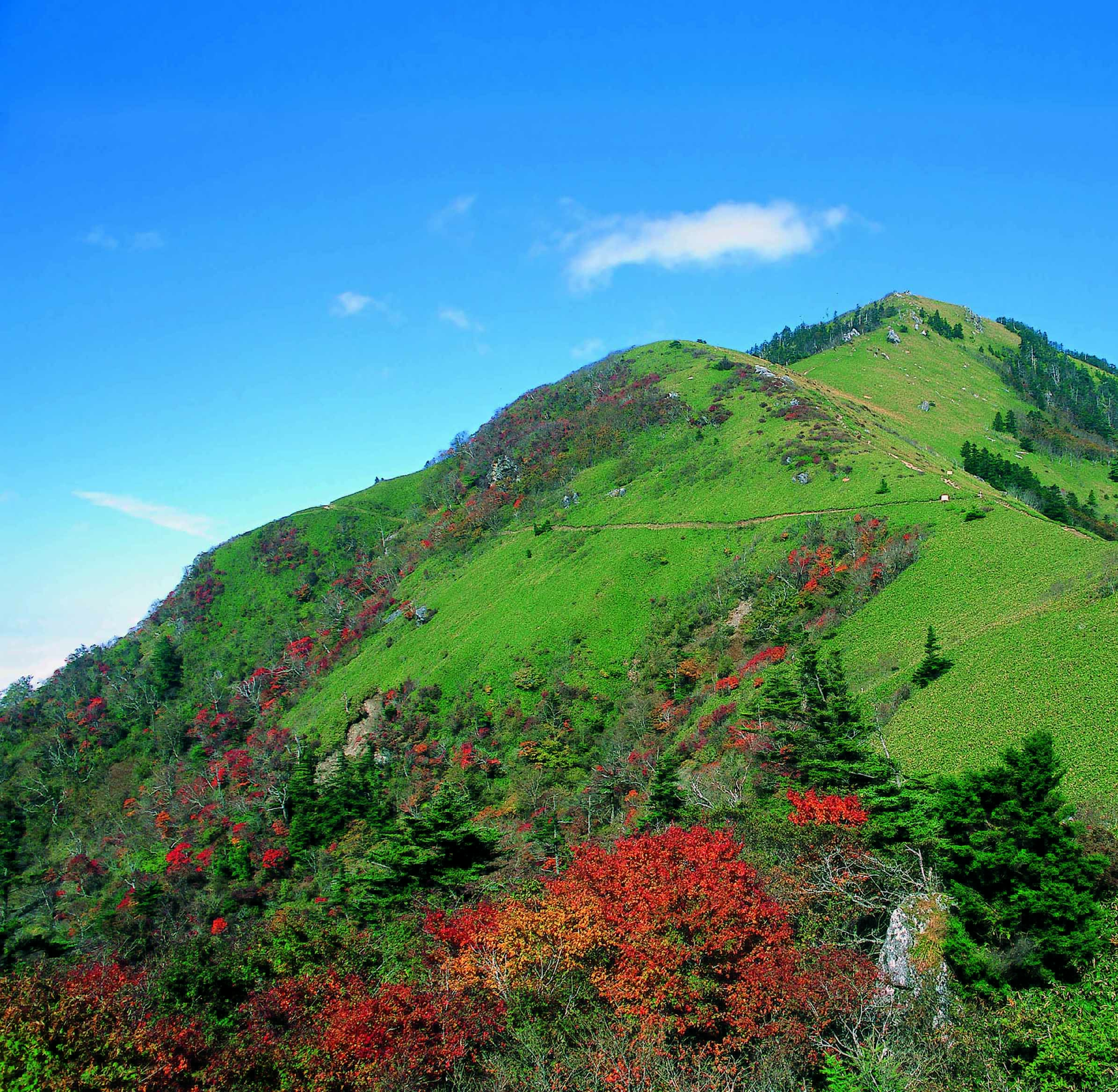 The mount Tsurugi – MimaKankouBureau